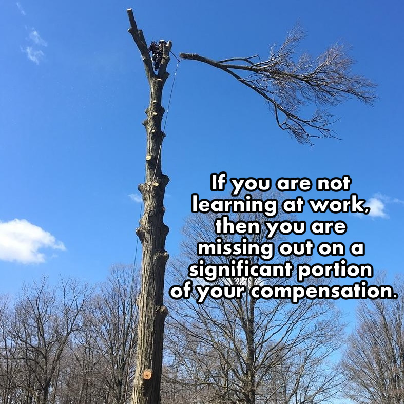 If you are not learning at work - Educated Climber.com